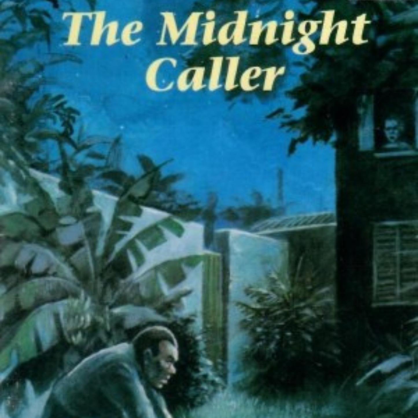 The Midnight Caller – Booksie